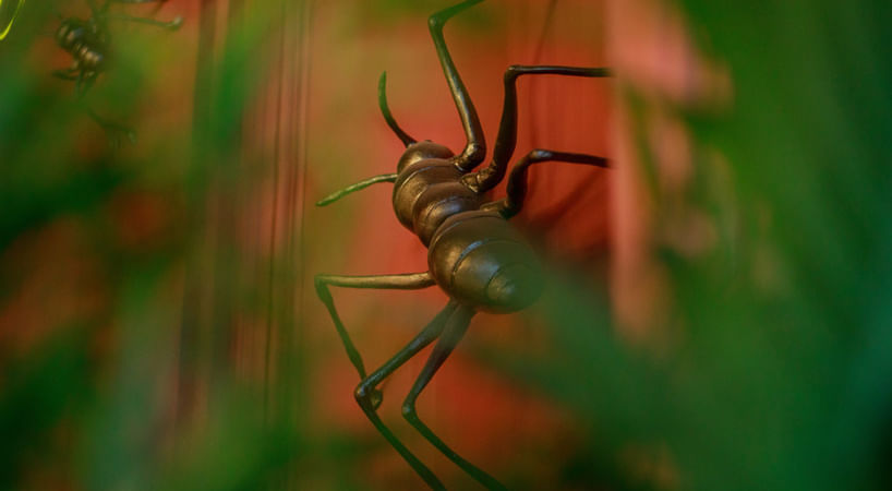 Menu of Amazonia, Bandra Kurla Complex (BKC), Western Suburbs