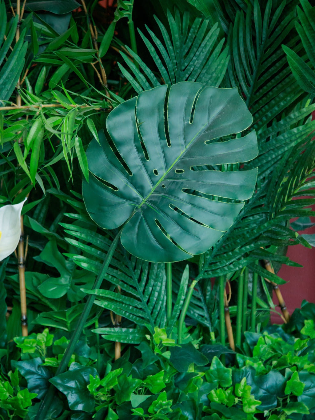 Menu of Amazonia, Bandra Kurla Complex (BKC), Western Suburbs