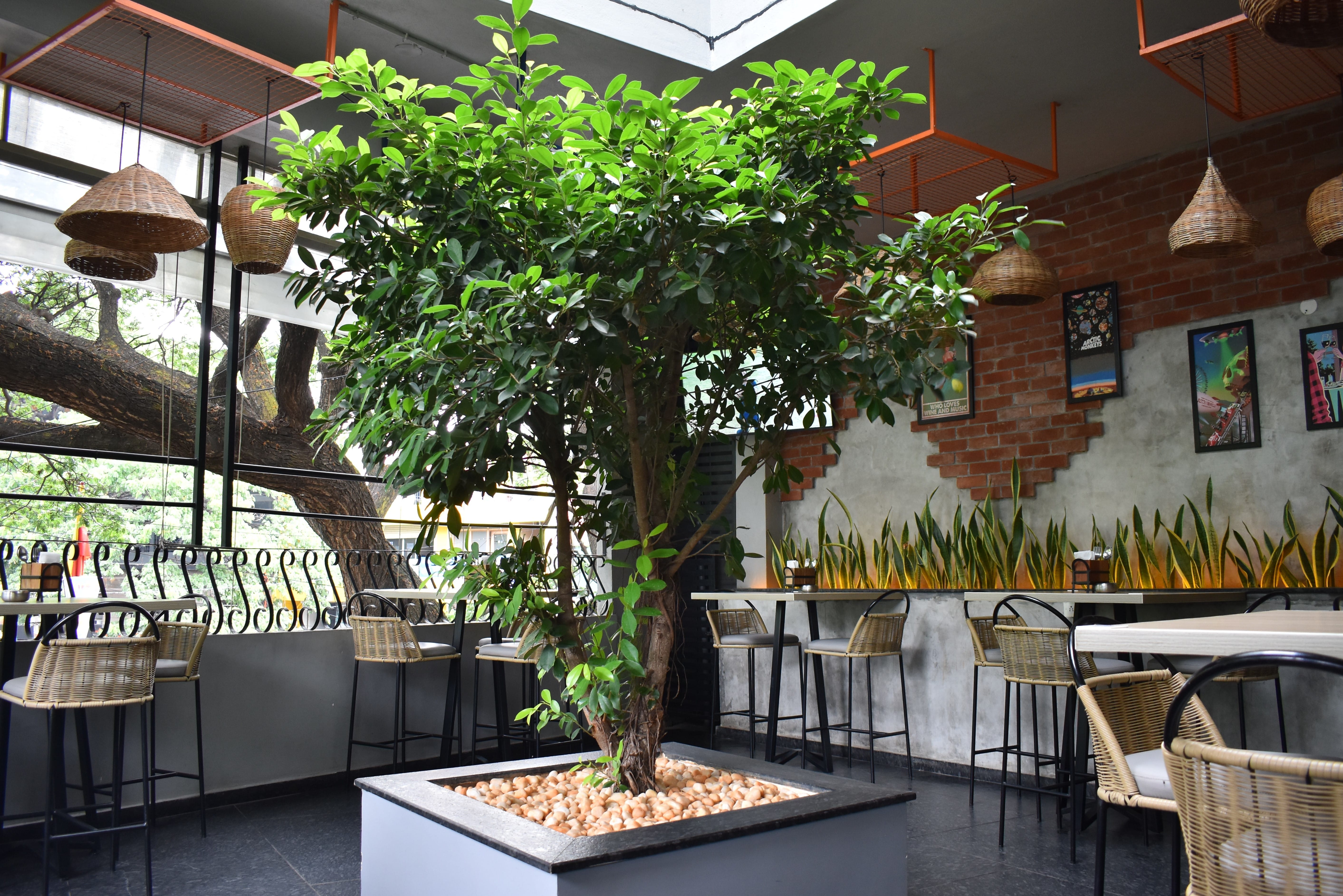 Geometry Gastropub in New BEL Road, North Bengaluru | Get Upto 50% Off