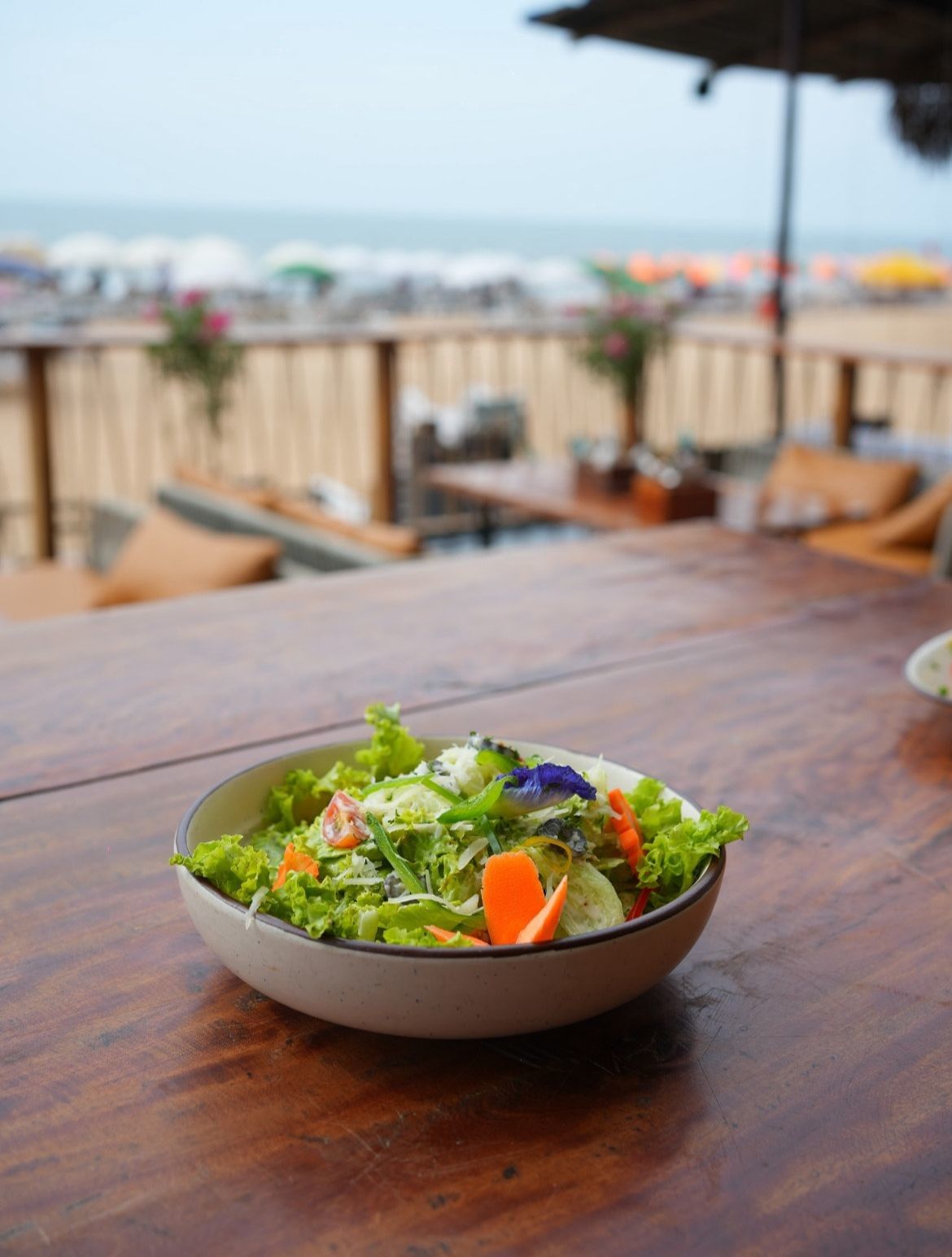Menu of Clara (Beach Haven), Vagator, North Goa
