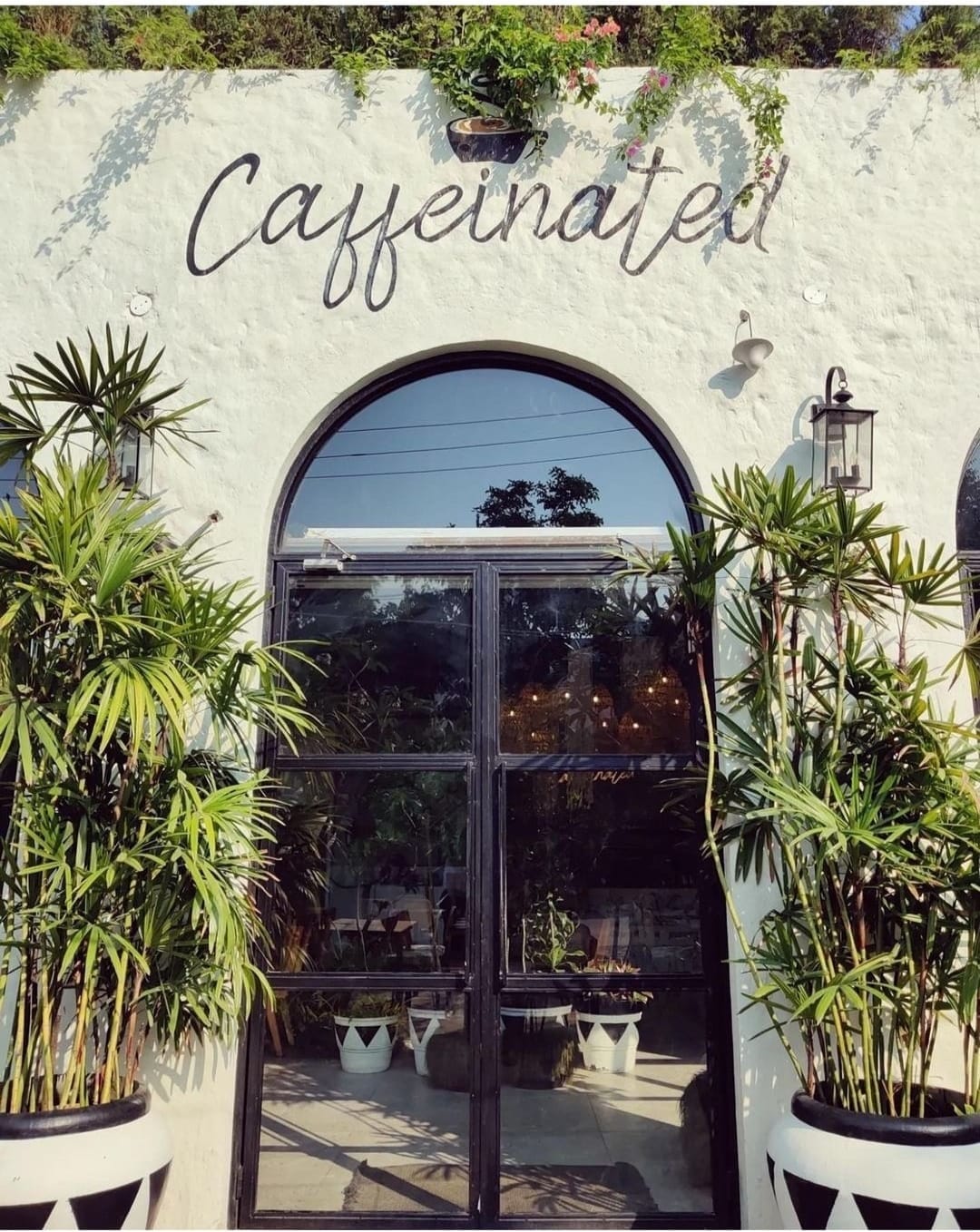 The 20 Best Restaurants in Sector 144, NoidaJan 2026 | EazyDiner