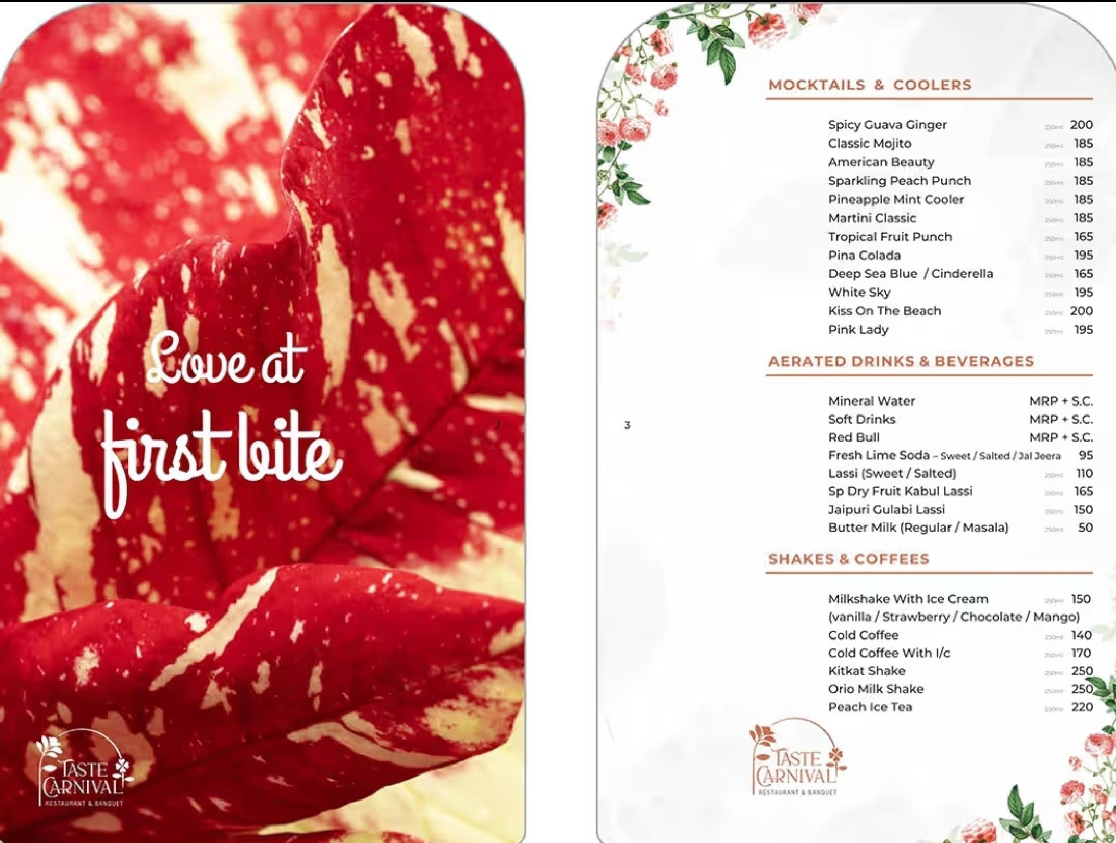 Menu of Taste Carnival, Gotri, Vadodara