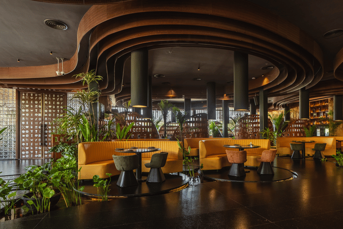 Moai Kitchen in Financial District, Hyderabad | Get Upto 50% Off