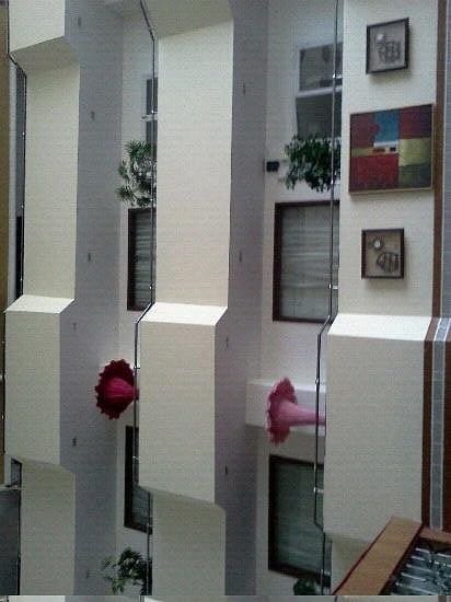 Explore Manchi Baphe in Kondapur, Hyderabad