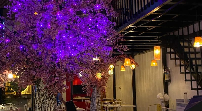 Coco Tree in Scheme No 54, Indore | Get Upto 50% Off