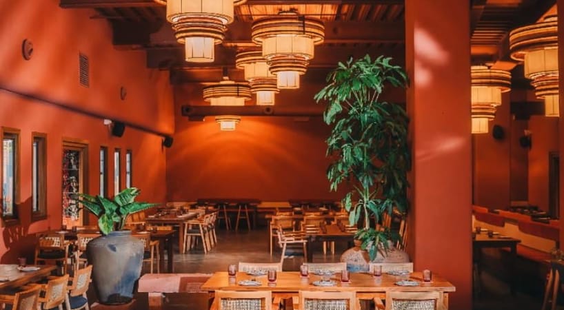 Terrai - Neo Telangana Kitchen & Bar in Hitech City, Hyderabad | Get Upto 50% Off