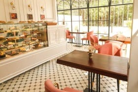 Explore The Big Tree Cafe in Sector 54, Gurgaon