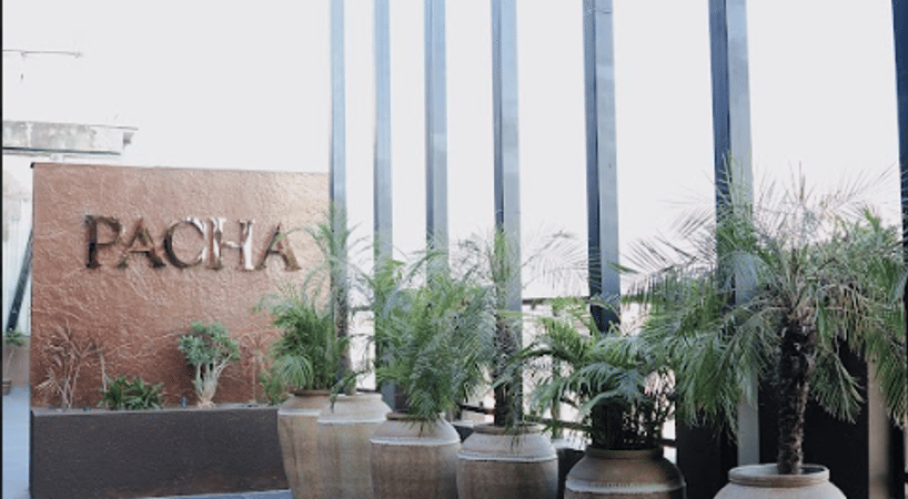 Pacha in Sodala, Jaipur | Get Upto 50% Off