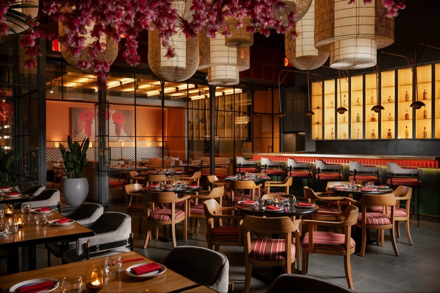 Explore Silaa The Garden Cafe in Malleshwaram, West Bengaluru