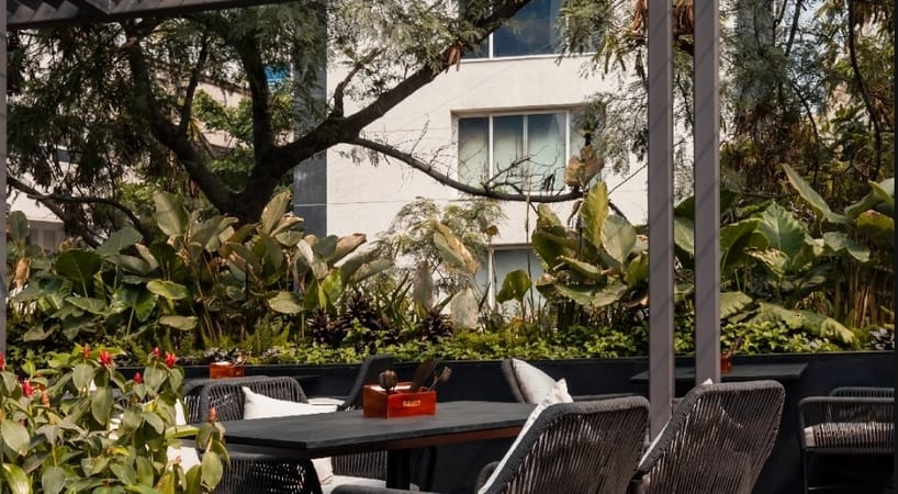 Roast CCX in Banjara Hills, Hyderabad | Get Upto 50% Off