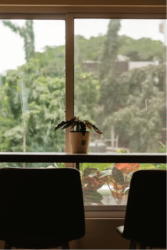 Pure Veg Restaurants in Mahatma Nagar, Nashik | EazyDiner