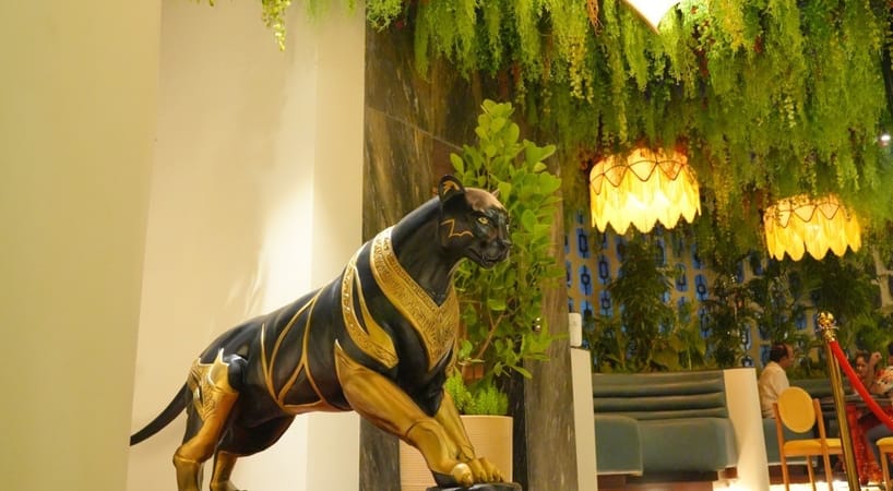 Tambo in Jubilee Hills, Hyderabad | Get Upto 50% Off