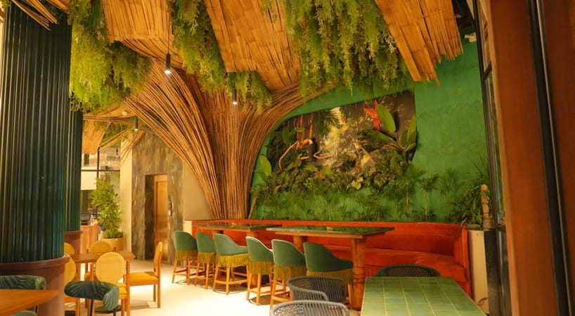 Tambo in Jubilee Hills, Hyderabad | Get Upto 50% Off