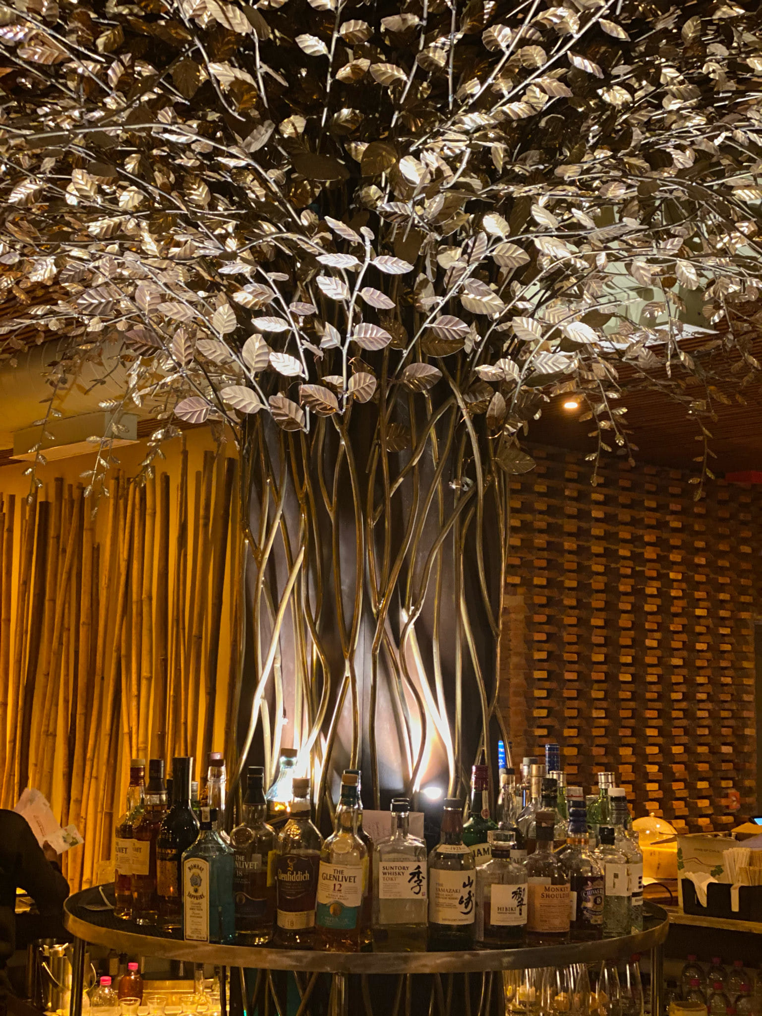 Menu of Swan, Mehrauli, South Delhi