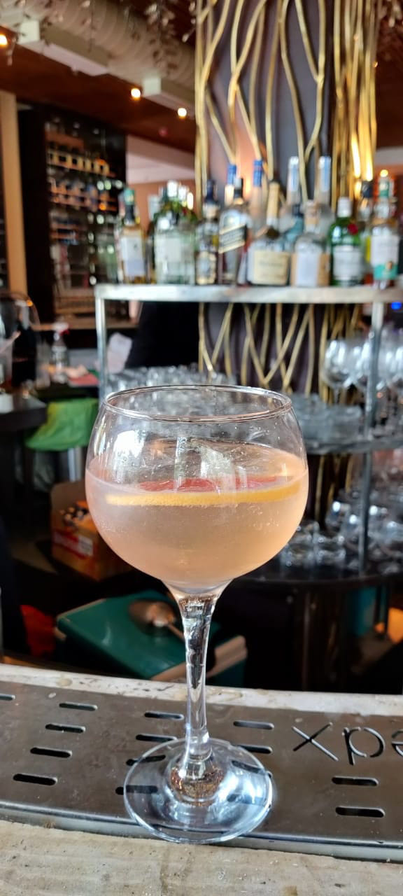 Menu of Swan, Mehrauli, South Delhi